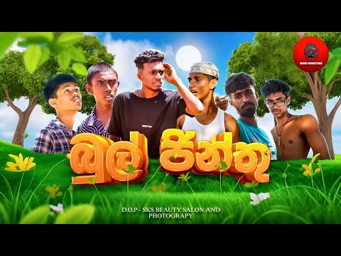 bul jinthu / බුල් ජින්තු / @wanni3