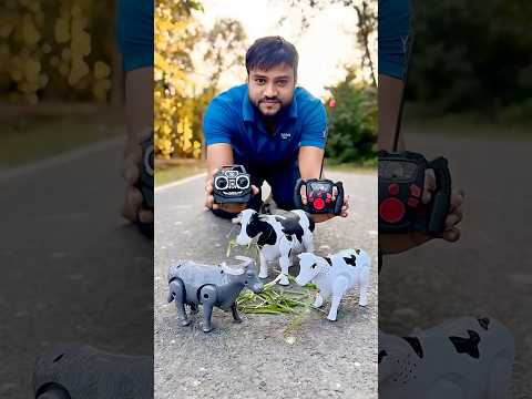 New Remote Control BUFFALO🐃and RC COW🐄unboxing🔥