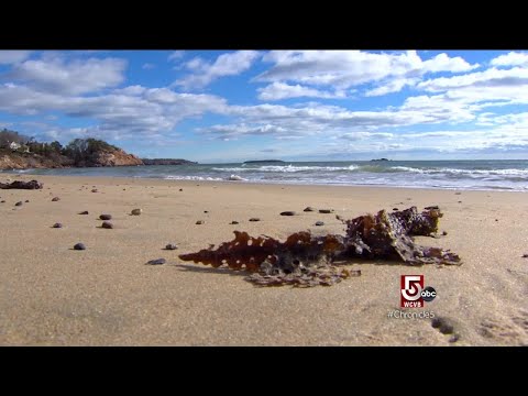 Alleviation in abbreviation for this Massachusetts town