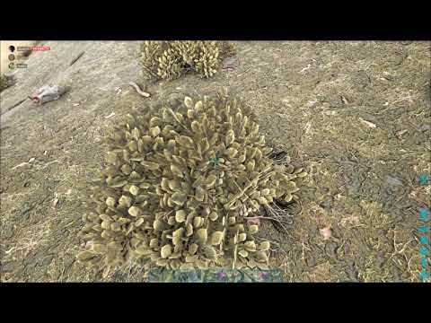 Steam Community :: ARK: Survival Evolved