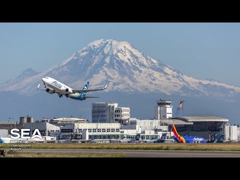 🔴LIVE Seattle Airport | SEA LIVE | Plane Spotting | Happy Friday