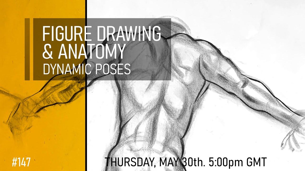 Figure Drawing & Anatomy - Dynamic Poses #147
