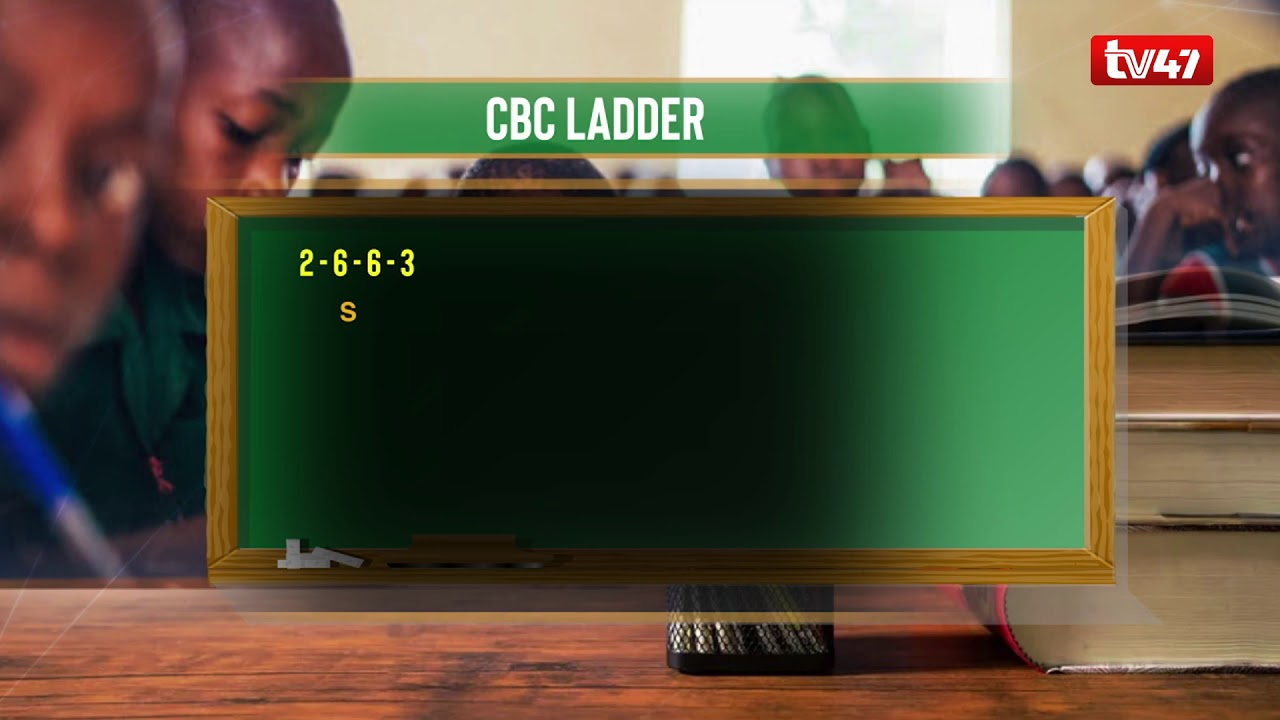 Demystifying the new CBC curriculum; what does the 2-6-6-3 system mean?