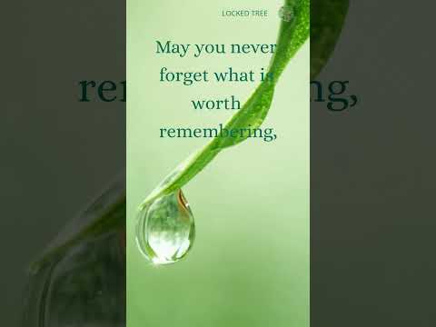 Family History Quote 17 Short #motivation #genealogytips #familyhistory #genealogy #quotes