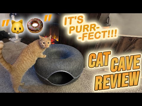 The Best Cat Donut/ Cat Cave Review. Kitty Must-Have!