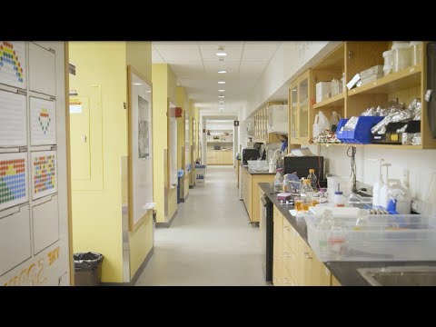 The NIH and the need for funding facilities and administration costs