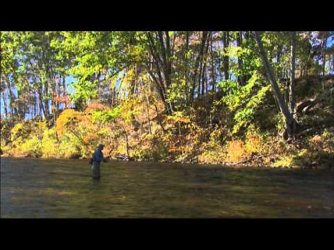 On the Rise – Battenkill River