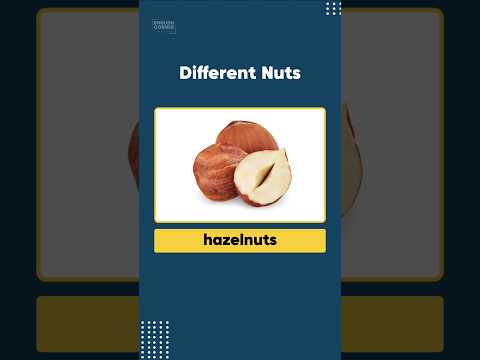 Different Nuts English Vocabulary Words for Newbies #englishforbeginners