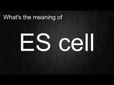 What's the meaning of "ES cell", How to pronounce ES cell?
