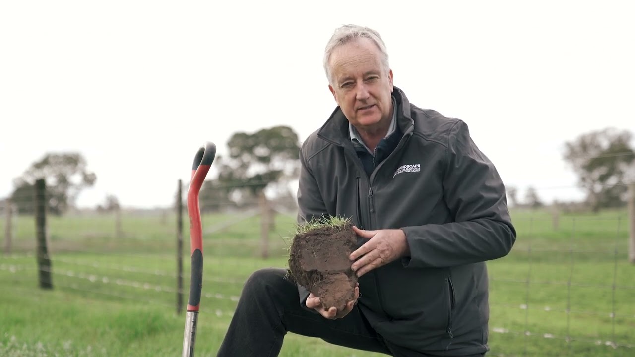 Soil carbon explained