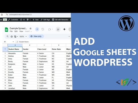 How to Embed Google Sheets via Shortcode in WordPress | Spreadsheets