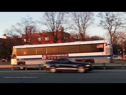 MTA Bus: 2005-07 MCI D4500 #3157 on the BM4 (Off-Route) @ Belt Parkway & Bath Beach Park