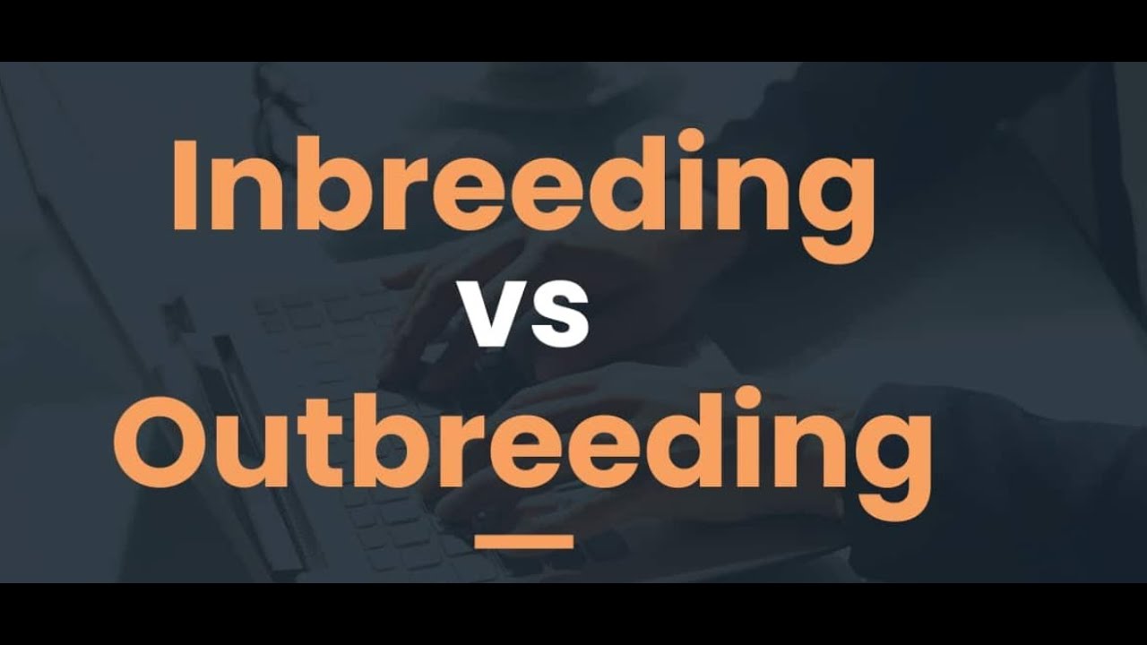 Inbreeding vs. Outbreeding - Geneticist Ed Dutton explains the health benefits & risks