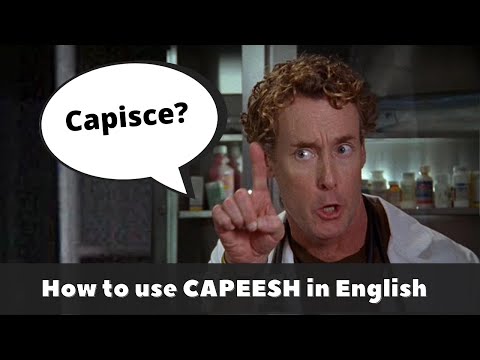 The meaning of CAPEESH / CAPISCE / CAPICHE in English?