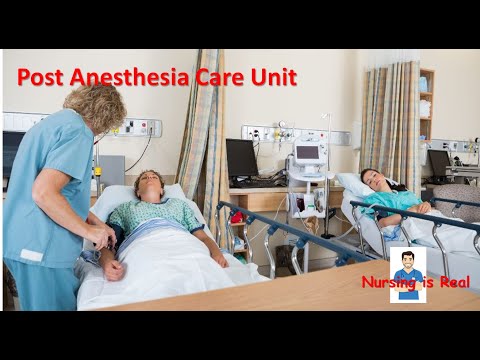 Post Anesthesia Care Unit : Length of Stay