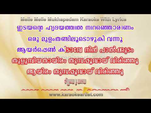 Melle Melle Mukhapadam Thellothukki3 Scrolling Karaoke With Lyrics Malayalam