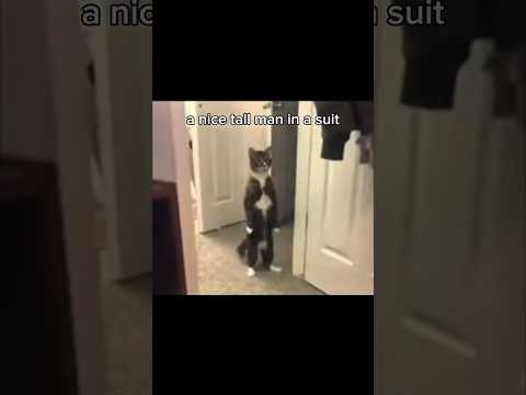 Slendermanman 😈😈... #trending #funny