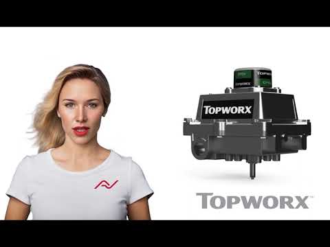 Topworx DXS Switch Box