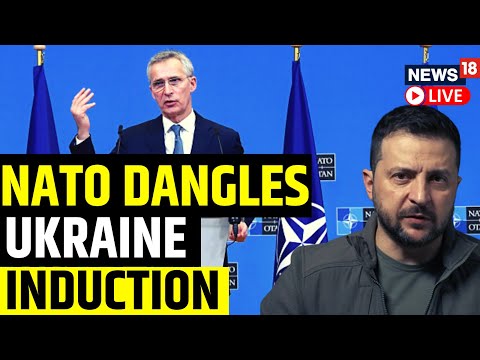 NATO Live Updates | NATO Meet On Ukraine Membership | NATO Leaders Meet Live | English News Live