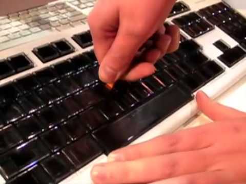 Teclado Optimus Maximus | Alpha Stage