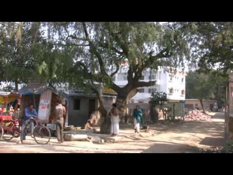 Vrindavan : Ramana Reti / Krishna Balarama Tree – Meditations on Braj Dham