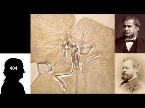 Pterosaurs are Terrible Lizards