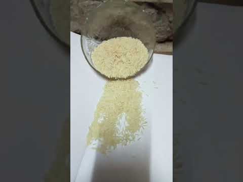 Rice dream meaning in english#shorts