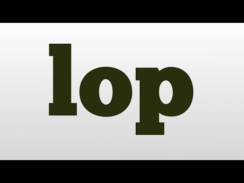 lop meaning and pronunciation