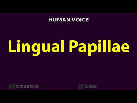 How to Pronounce Lingual Papillae
