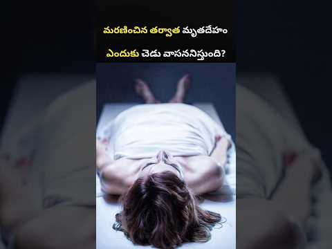 Why Does Dead Body Smell Bad After Death? #human #humanbody