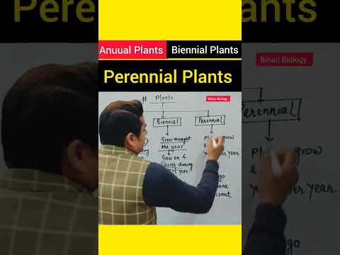 Annual | Biennial | and Perennial Plants. #neet #biology #ncertbiology