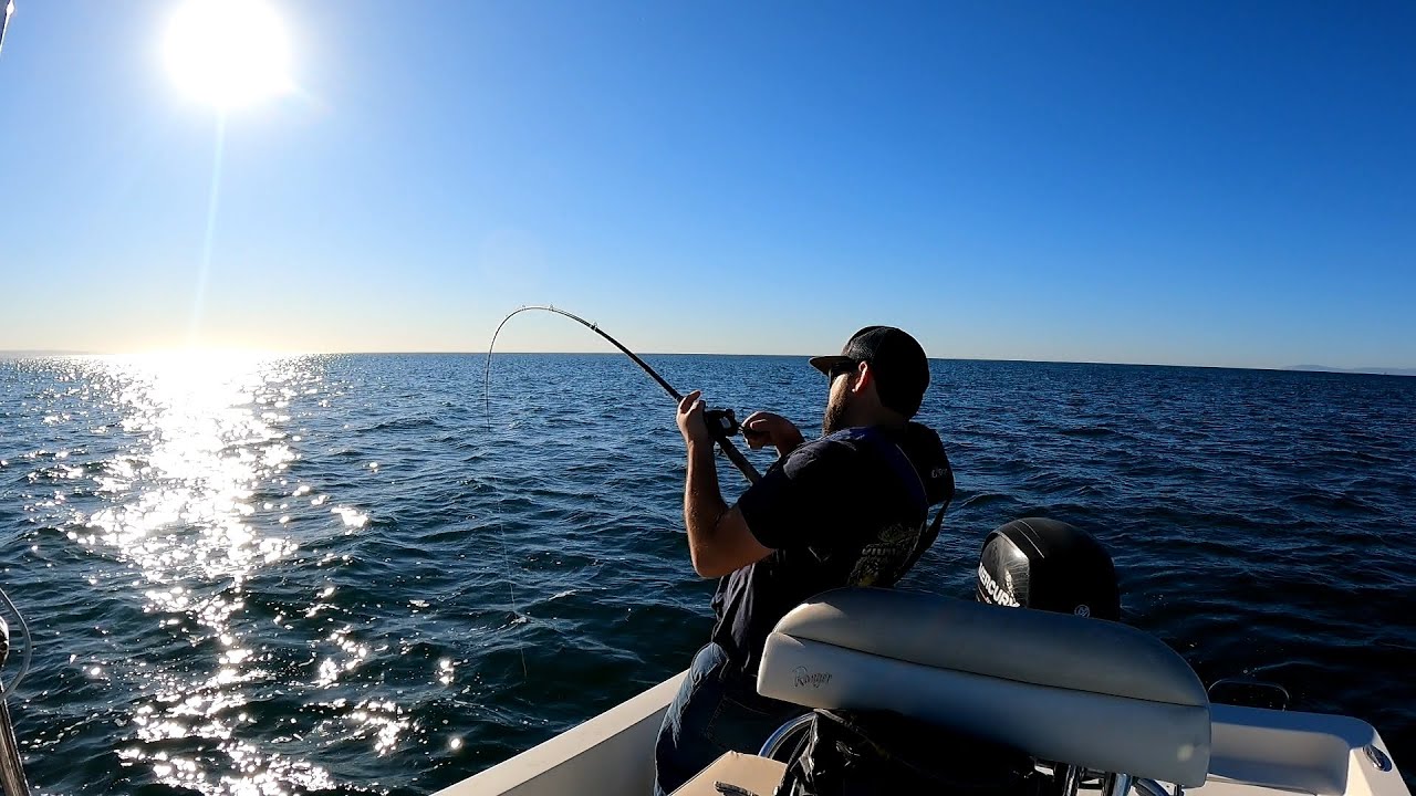 Epic Local Sheephead Fishing!