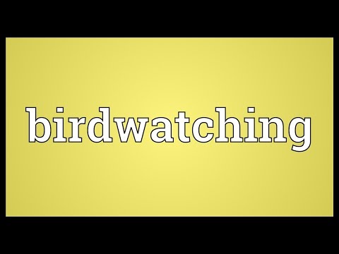 Birdwatching Meaning