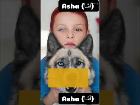 Girl name. ❤️Asha آشا❤️ (Meanings and origin)