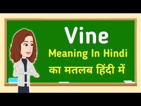 Vine meaning in hindi || Vine का मतलब हिंदी में