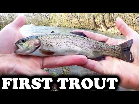 How to Catch Your First Stocked Trout - Realistic Fishing