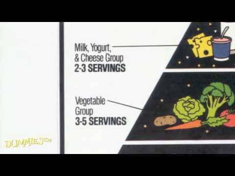 Understanding the USDA Food Pyramid For Dummies