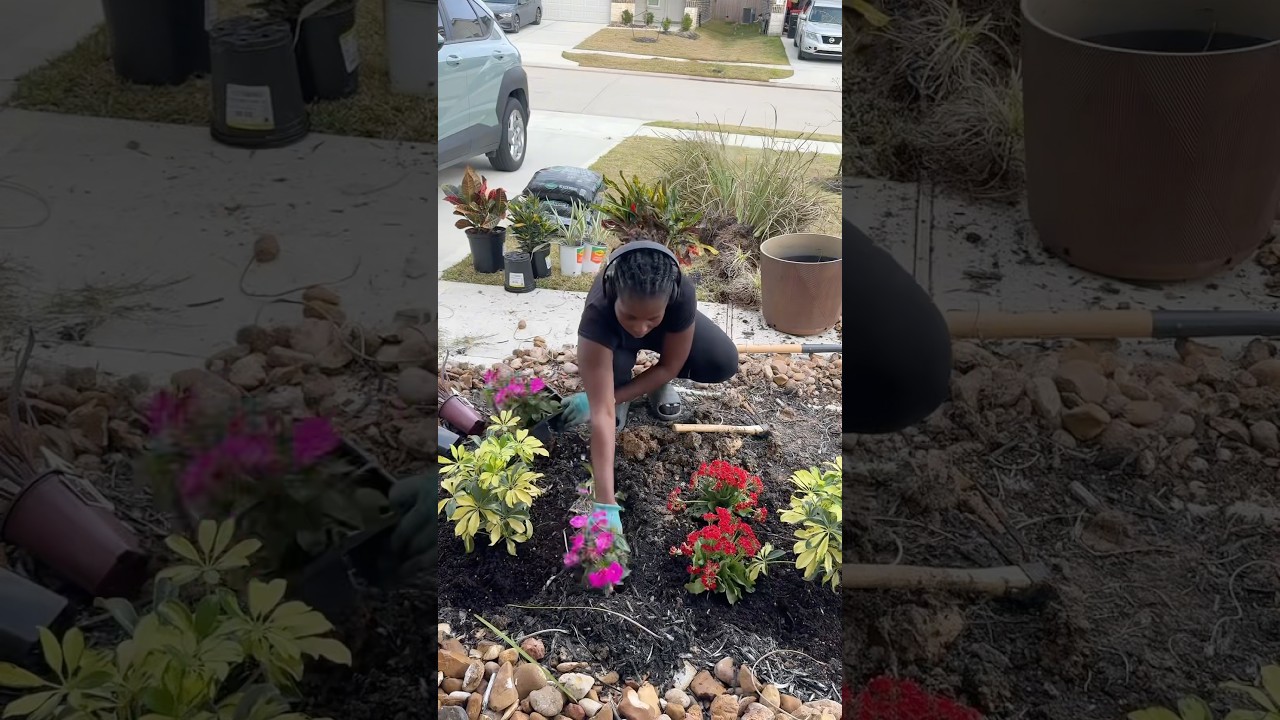 Front yard makeover #frontyardmakeover #landscaping#garden #gardenproject #diy