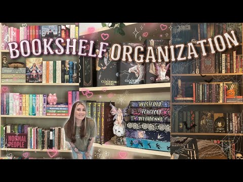 bookshelf organization โหโกโโง bookshelf tour & building billy birch/oak effect bookshelves
