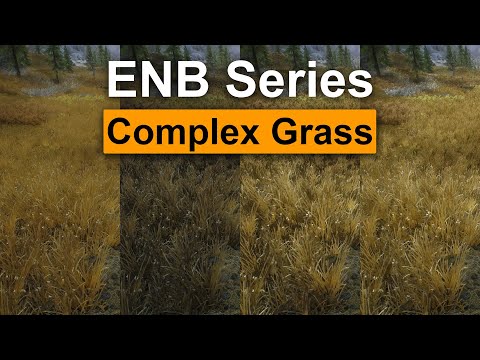Skyrim Mod: ENB complex grass comparison