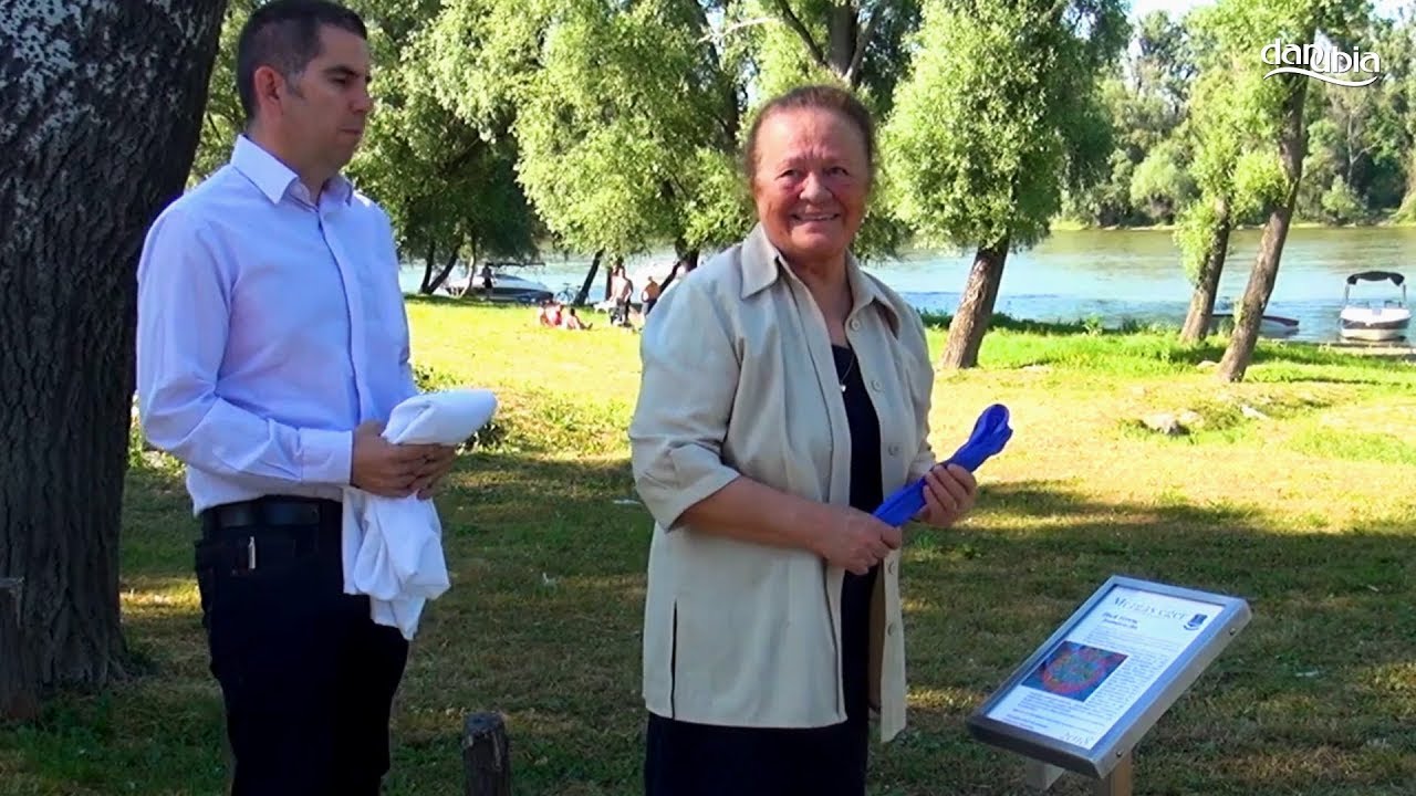 Hock Ferenc festőművész emlékfájának és -táblájának avatása - Danubia ...
