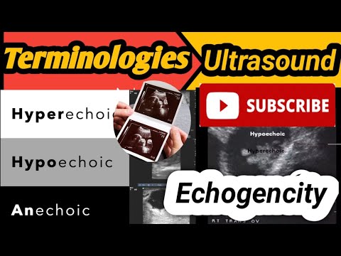 hypoechoic meaning|Terminologies used in ultrasound|Echogenicity of Ultrasound