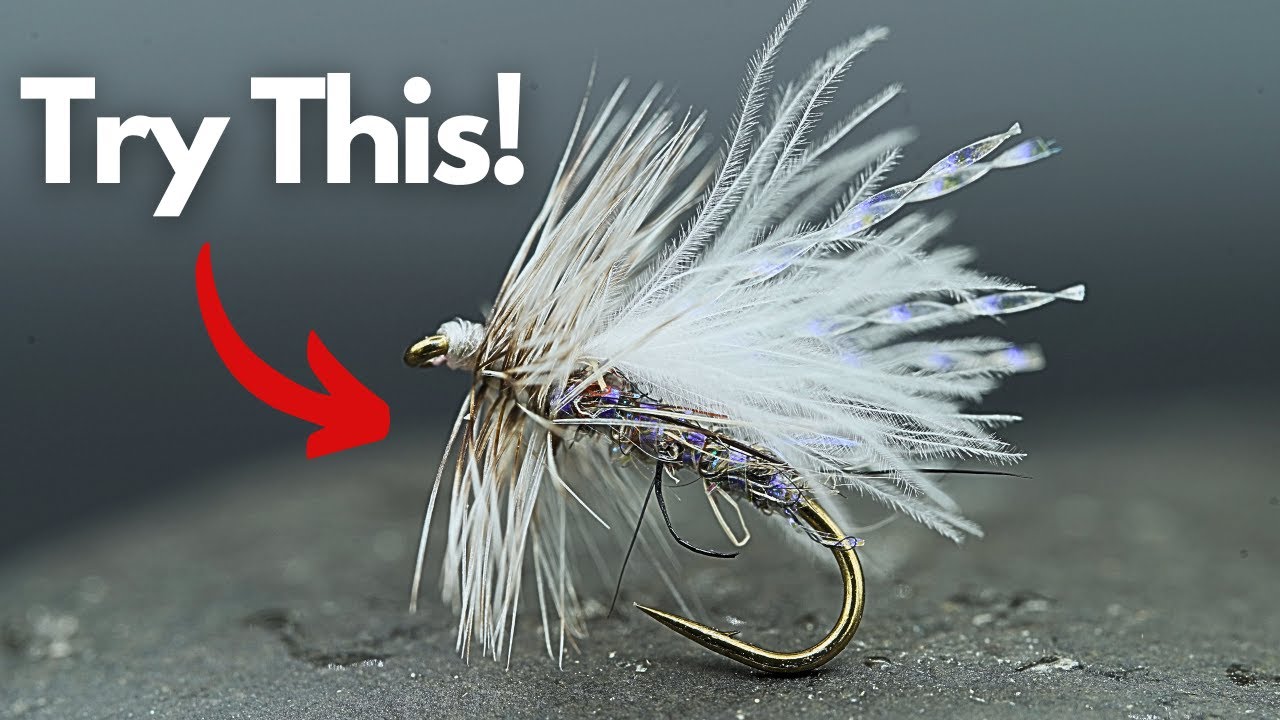 Tiny Fly With HUGE Results!