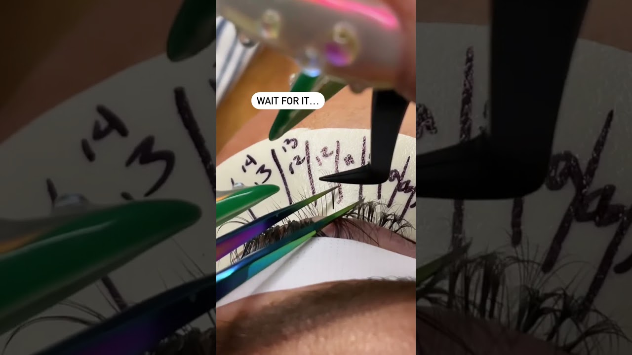 POV: Apply a lash extension to the natural lash. #lashartist #lashextensions #howtolashextensions