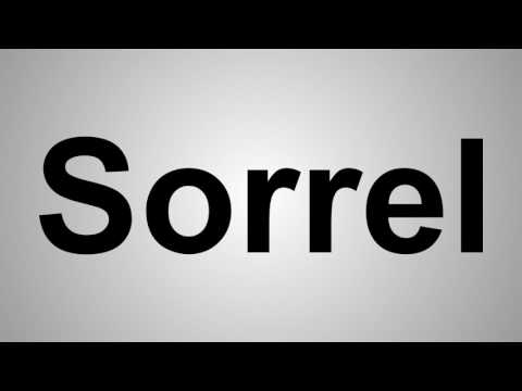 How To Pronounce Sorrel