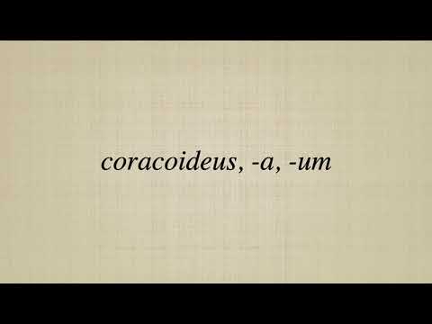 coracoideus, a, um
