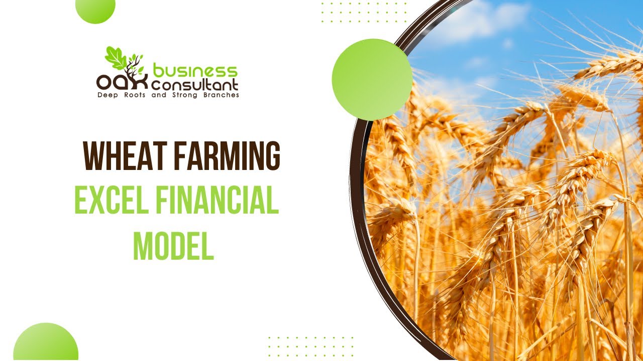 Wheat Farming Excel Financial Model Template