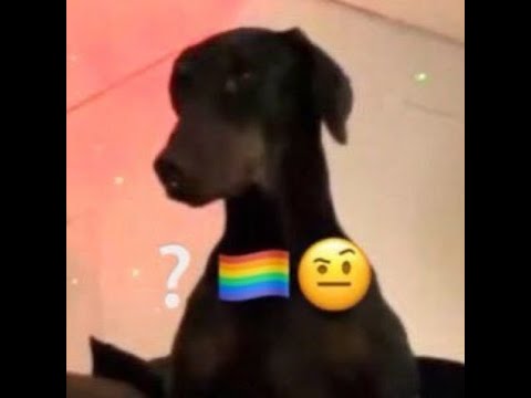 Steam Community :: Among Us