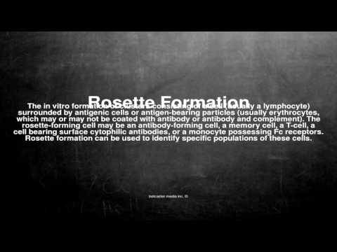Medical vocabulary: What does Rosette Formation mean