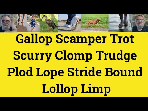🔵 Vivid Verbs for Go - Gallop Scamper Trot Scurry Clomp Trudge Plod Lope Stride Bound Lollop Limp